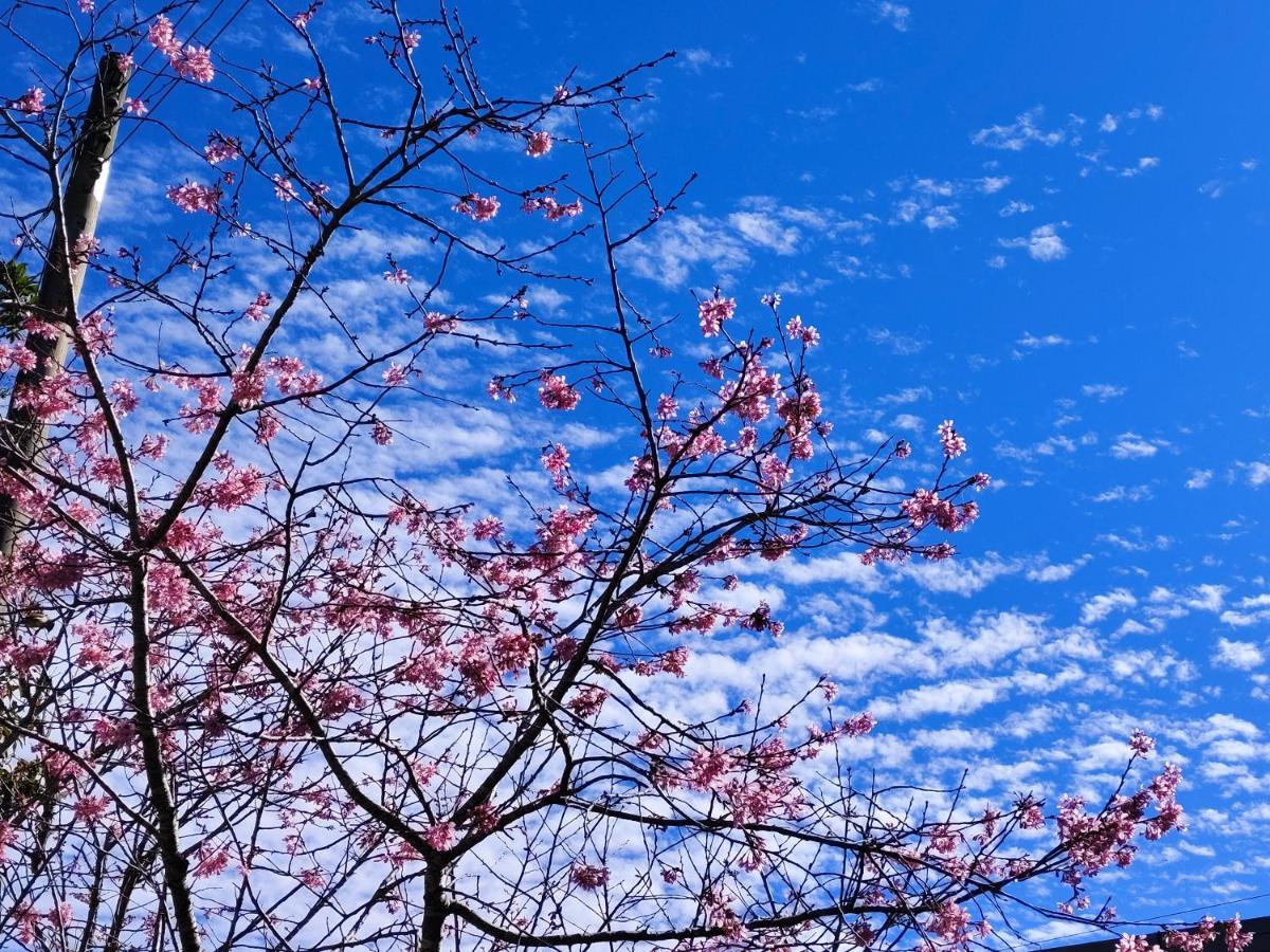 【2025 嘉義包棟民宿推薦】10人、20人包棟通通有！價格、房型、特色一篇看完！ - mrhost 部落格